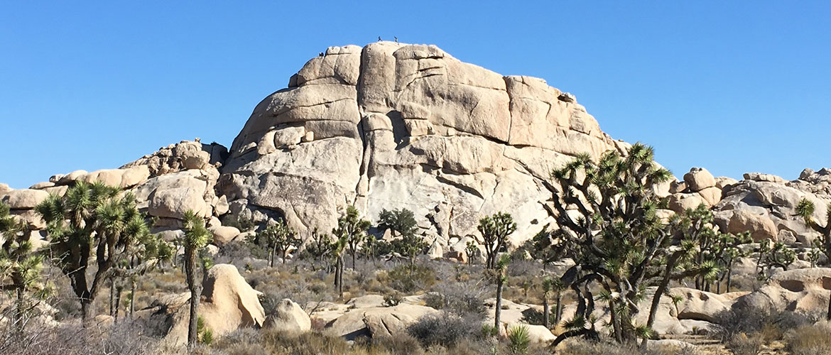 The Blob - Multi-Pitch Climb in Joshua Tree | Stone Adventures